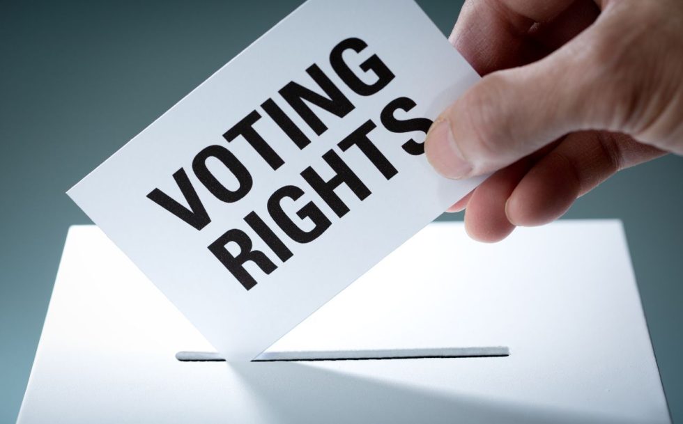 Protecting Minority Shareholder Rights: Essential Governance Clauses in ...